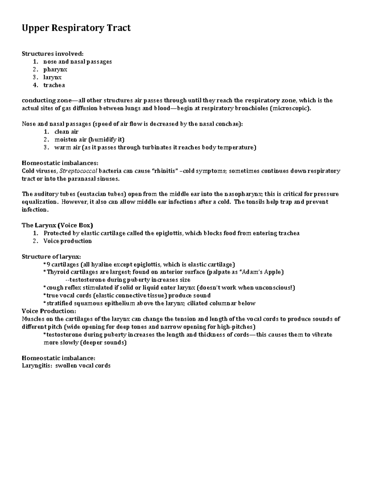 Upper respiratory tract - Upper Respiratory Tract Structures involved ...