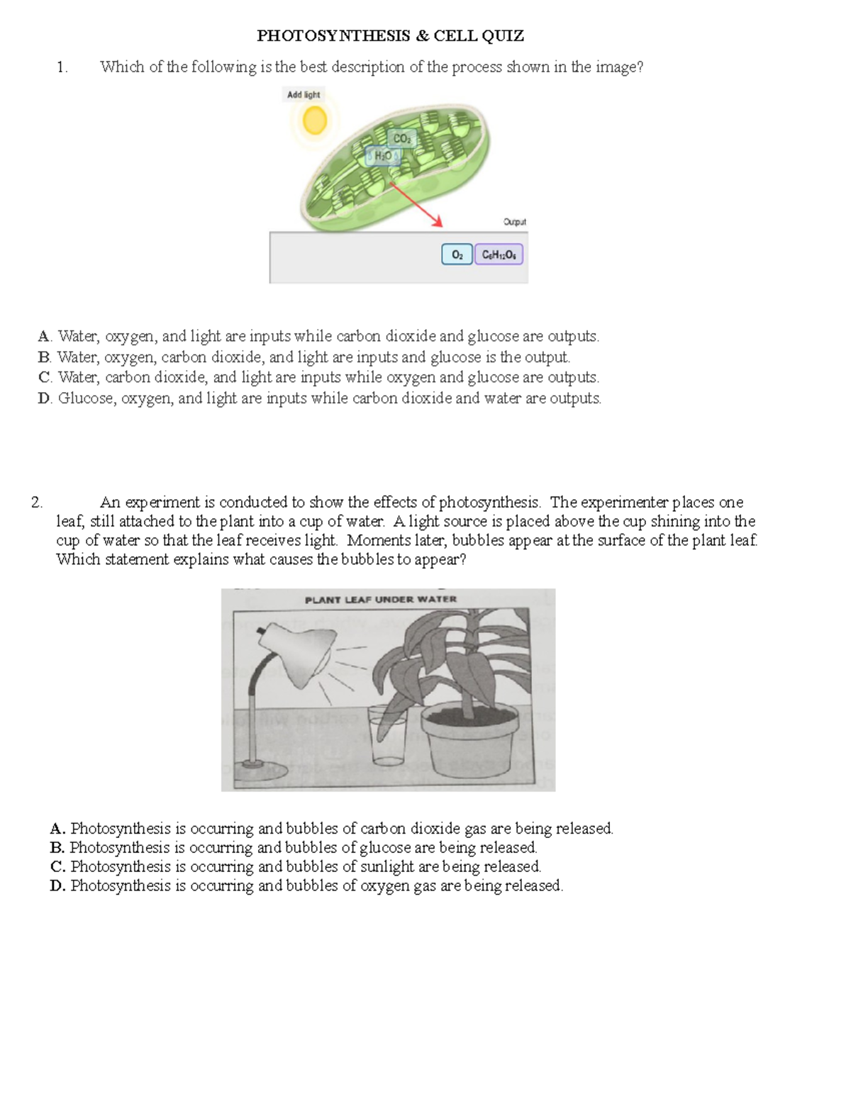 Cell & photosynthesis quiz - PHOTOSYNTHESIS & CELL QUIZ Which of the ...