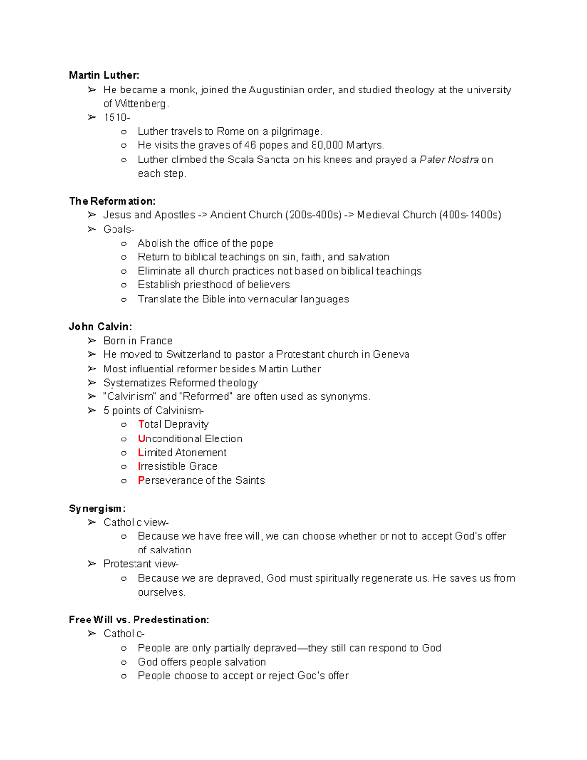 Engl. 203 The Protestant Reformation - Martin Luther: He became a monk ...