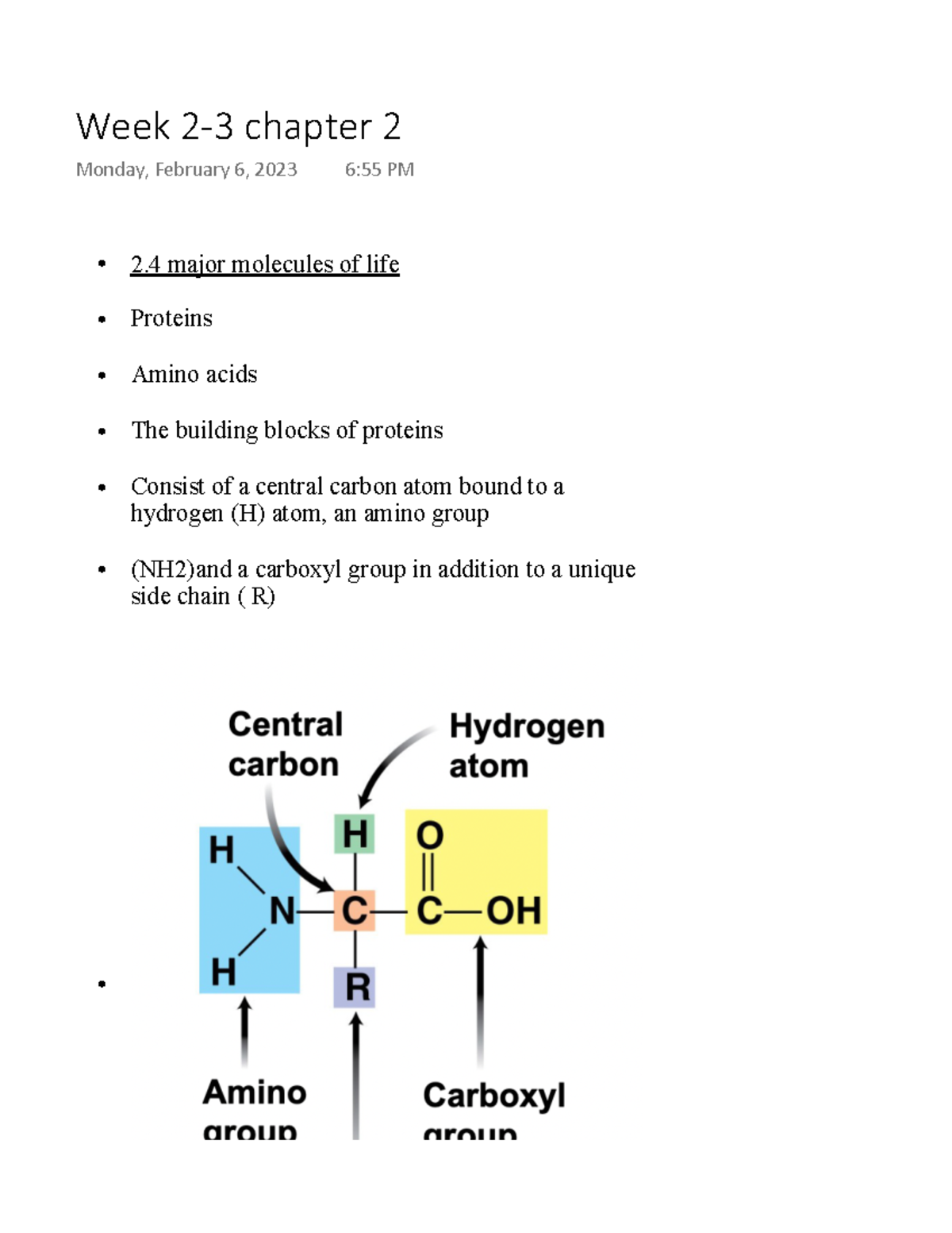 Week 2-3 chapter 2 human bio - 2 major molecules of life Proteins Amino ...