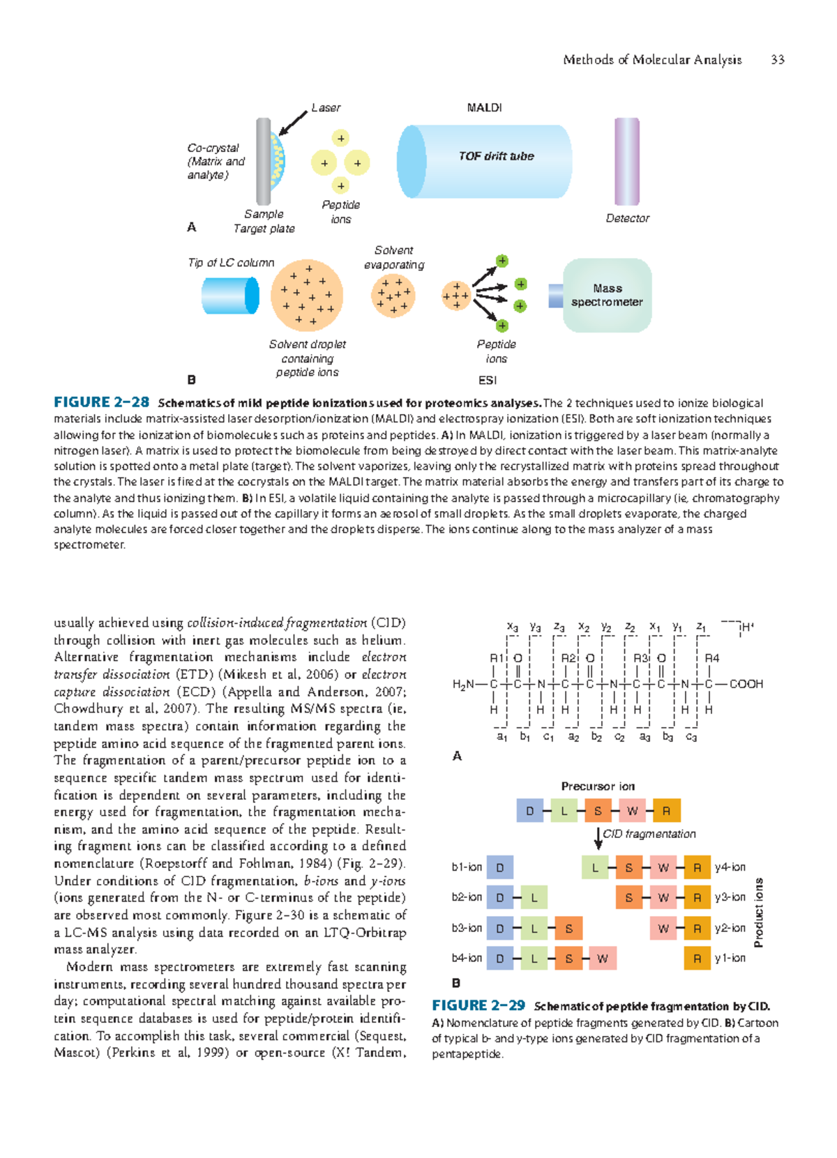 Basic Science of Oncology 5th-16 - Methods of Molecular Analysis 33 A B ...