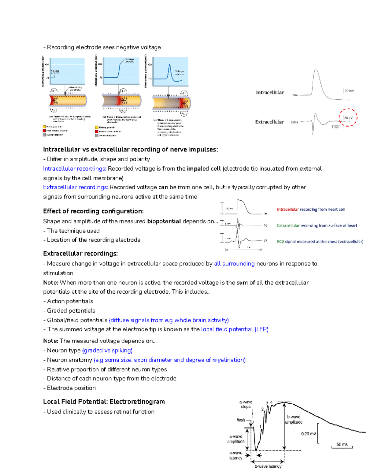Week 3 Action potentials, Nerve conduction & Introduction to ...