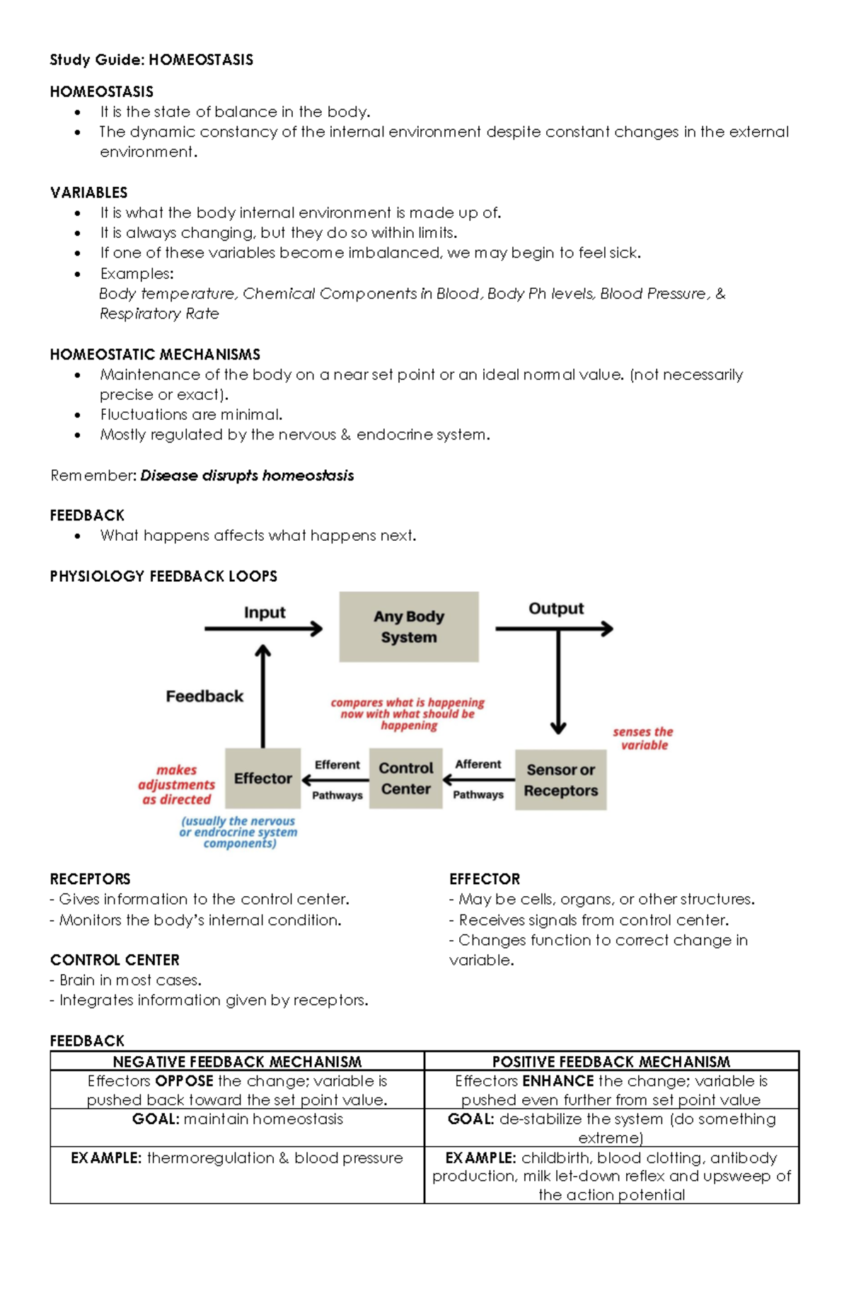 Chapter-1 Homeostasis - Study Guide: HOMEOSTASIS HOMEOSTASIS It is the ...