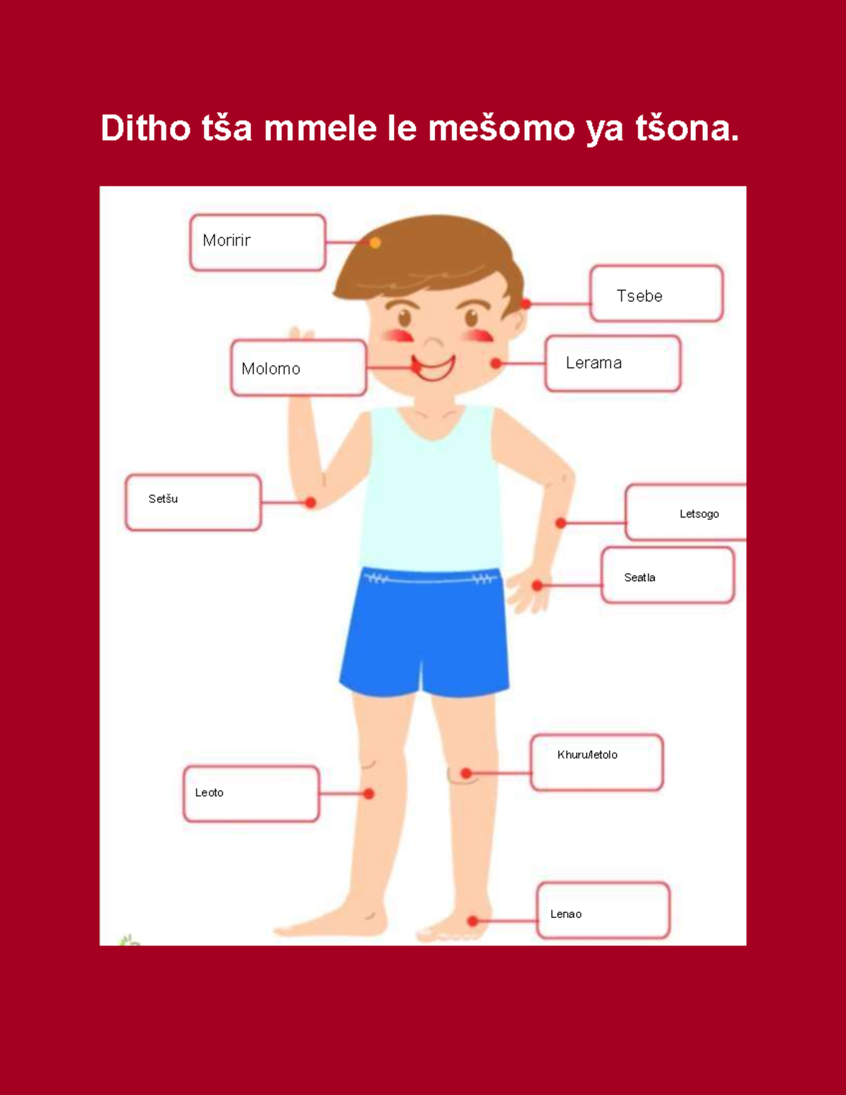 Philosophy of education - HFED011 - Ditho tša mmele le mešomo ya tšona ...