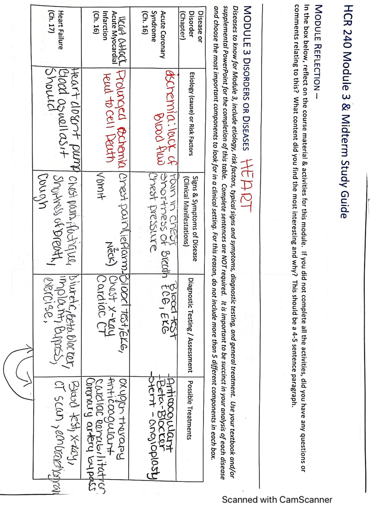 Pathology mod 3 learning guide - HCC173 - Studocu