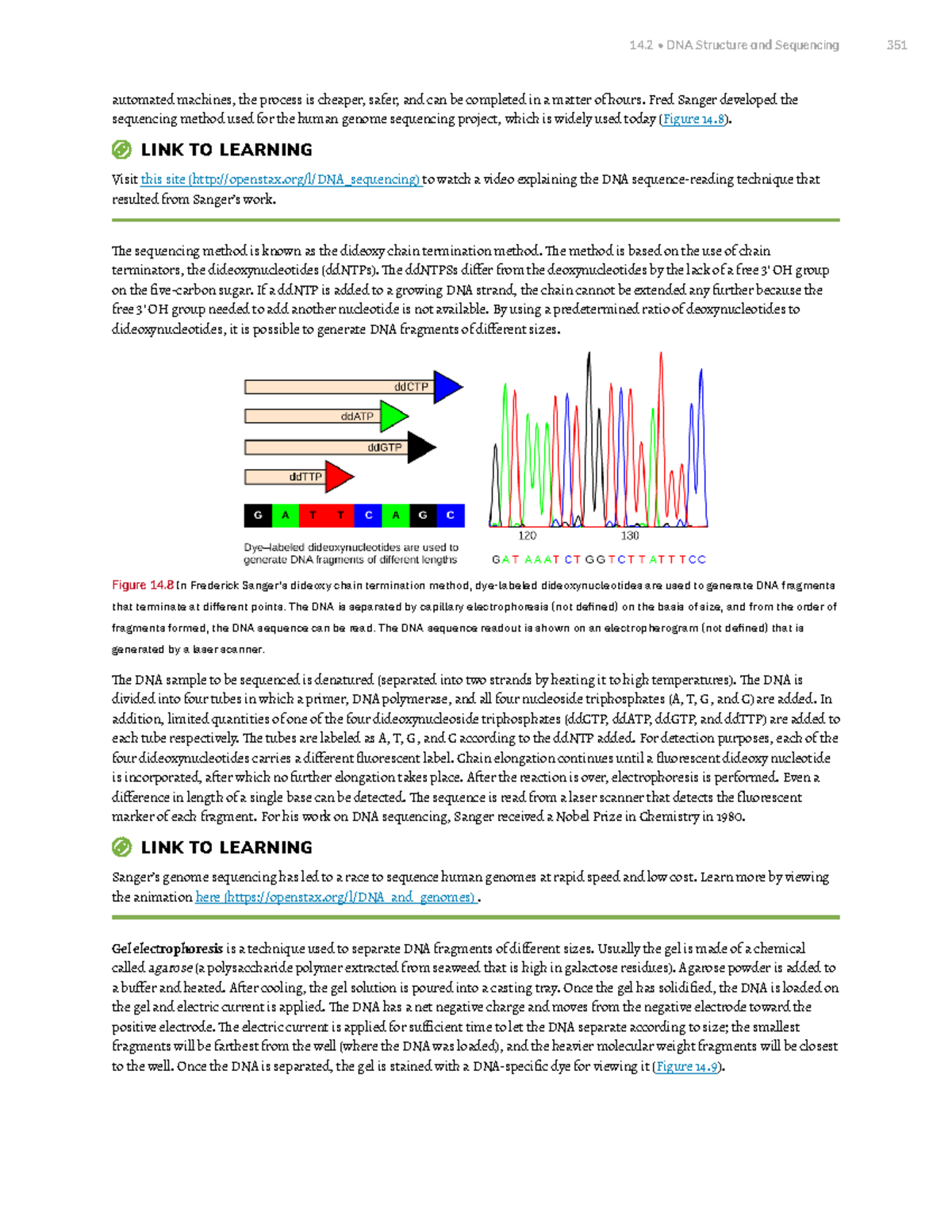 Chapter 14 DNA Structure and Function Part 4 - automated machines, the ...