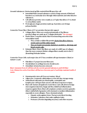 anatomy Lab exam 1 - Lab Doc Exam 1 For human white blood cells, which ...