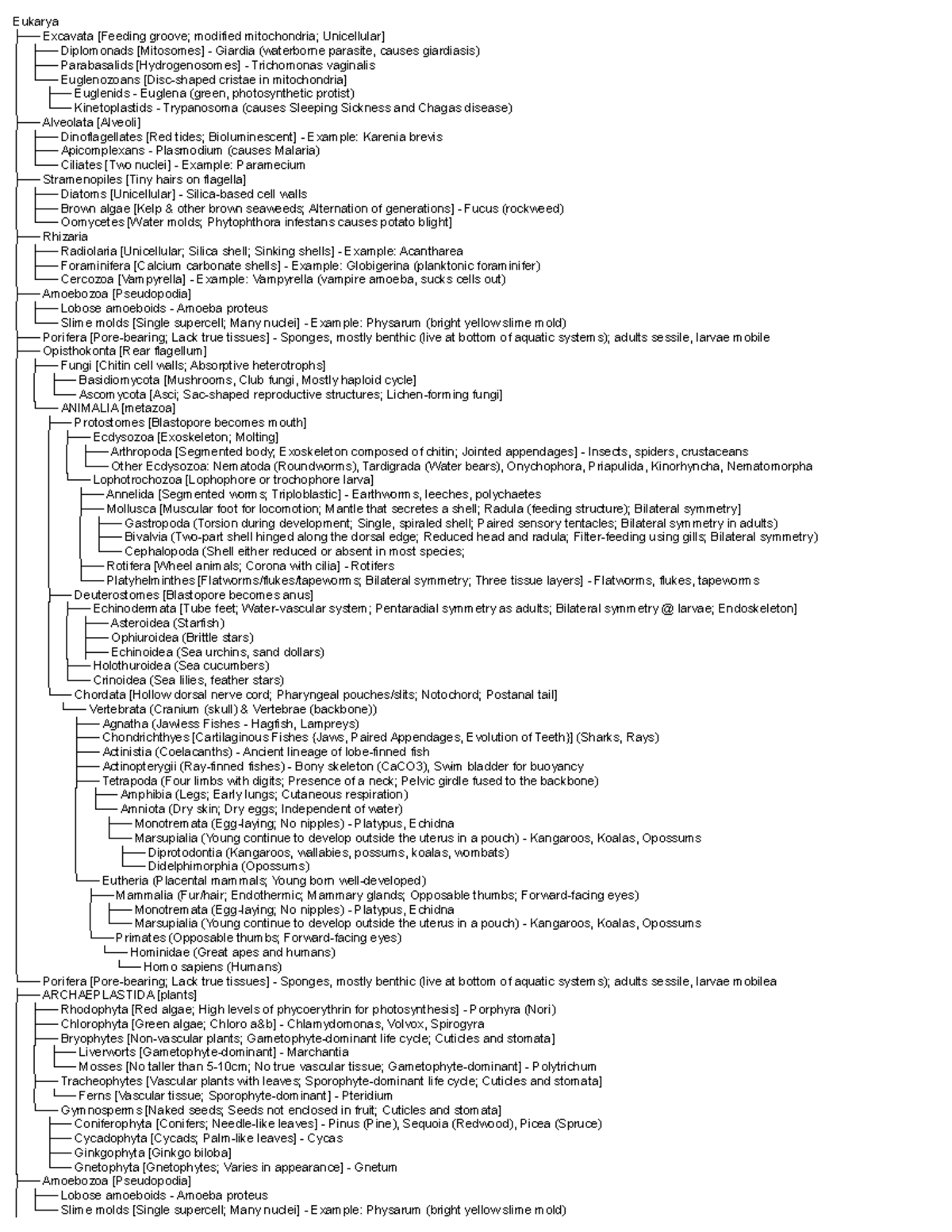 Eukaryotes notes bio 106L - Eukarya ├── Excavata [Feeding groove ...