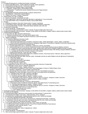Gizmo Cell Division Mitosis - Name: Date: 10/28/ Student Exploration ...