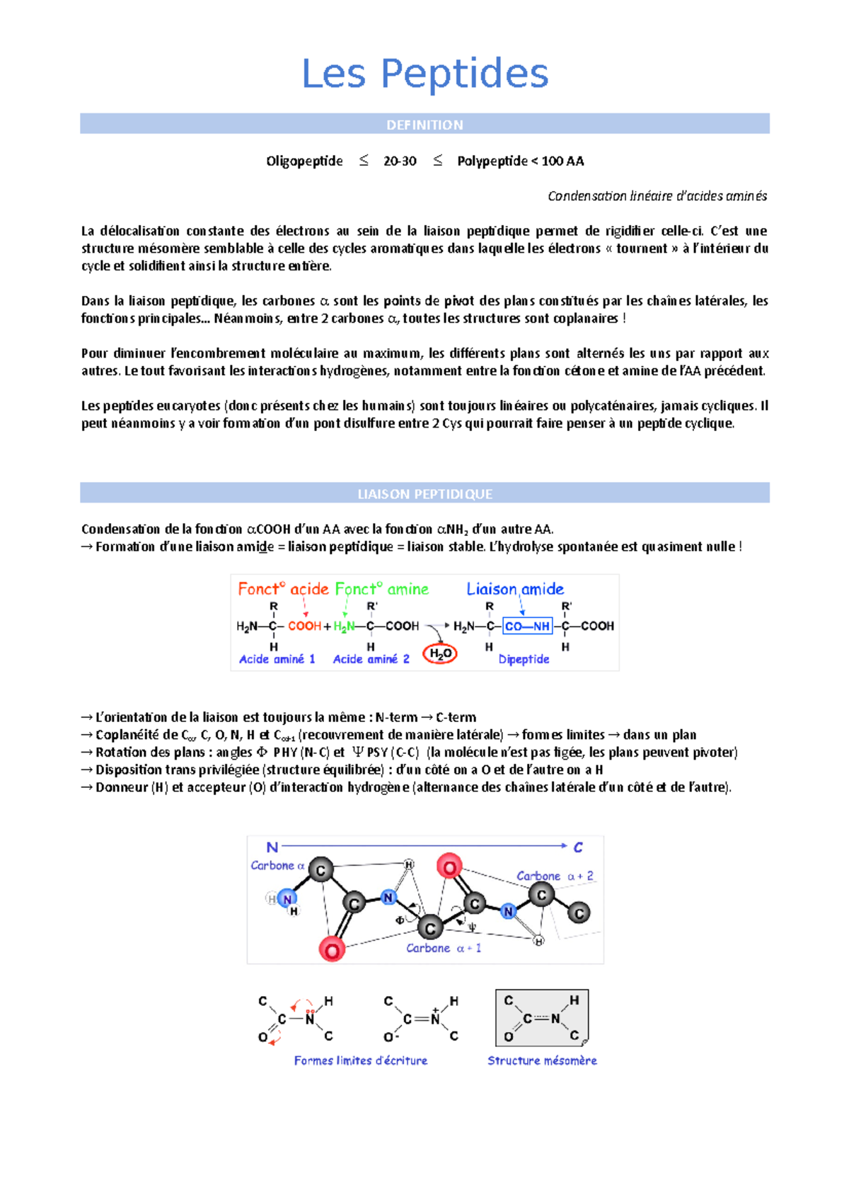 Les peptides (biochimie) - Les Peptides DEFINITION Oligopeptide ≤ 20-30 ...