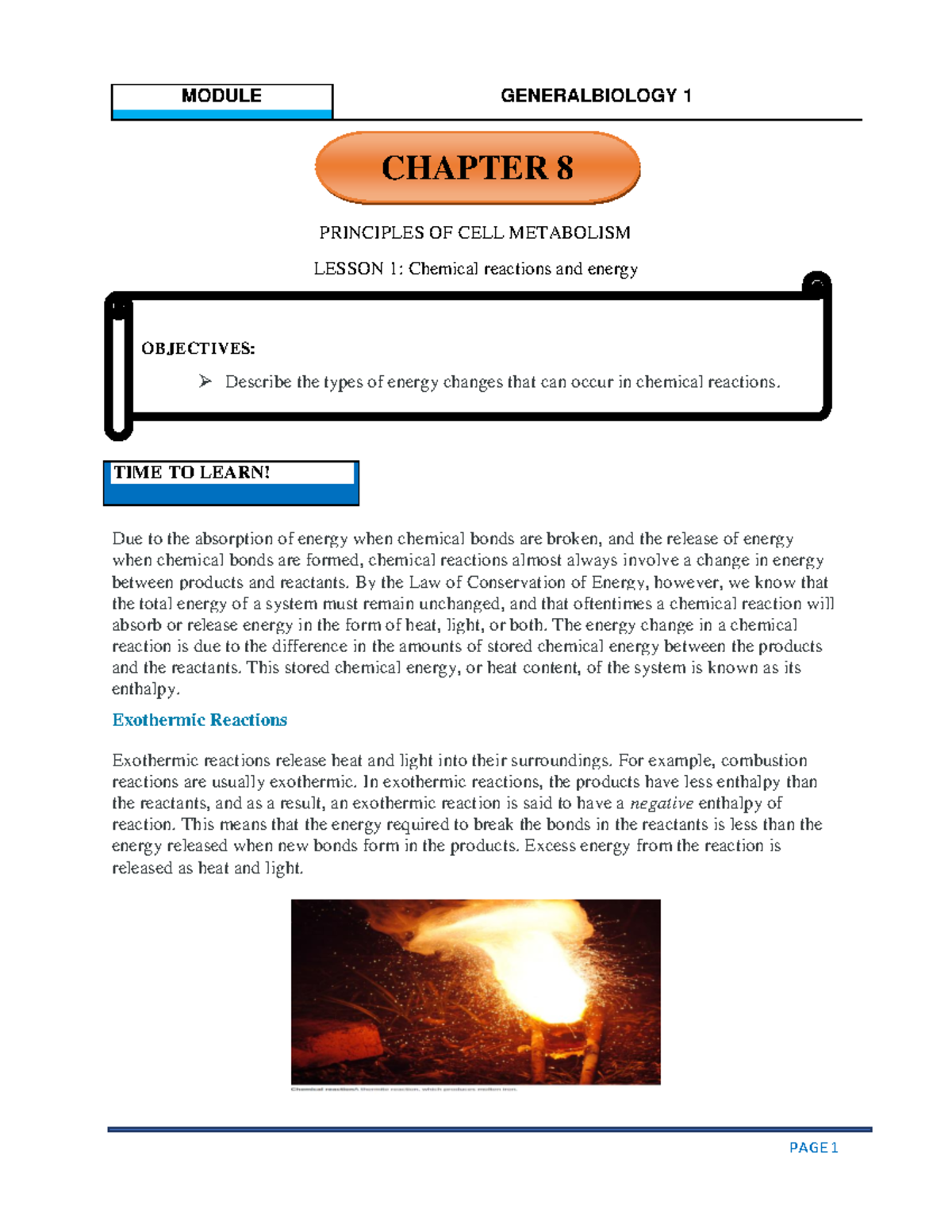 Principles OF Metabolism - PRINCIPLES OF CELL METABOLISM LESSON 1 ...