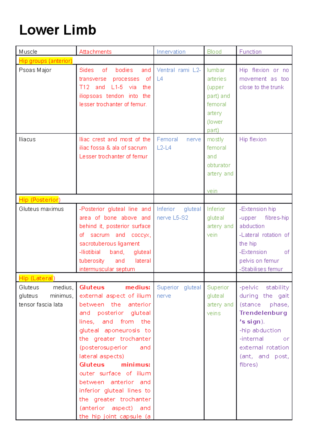 Lower Limb for Physiotherapy year2 lower limb part - Lower Limb Muscle ...