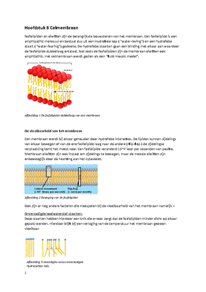 Protocollen Basistechnieken Celkweek 2020-2021 - Protocollen ...