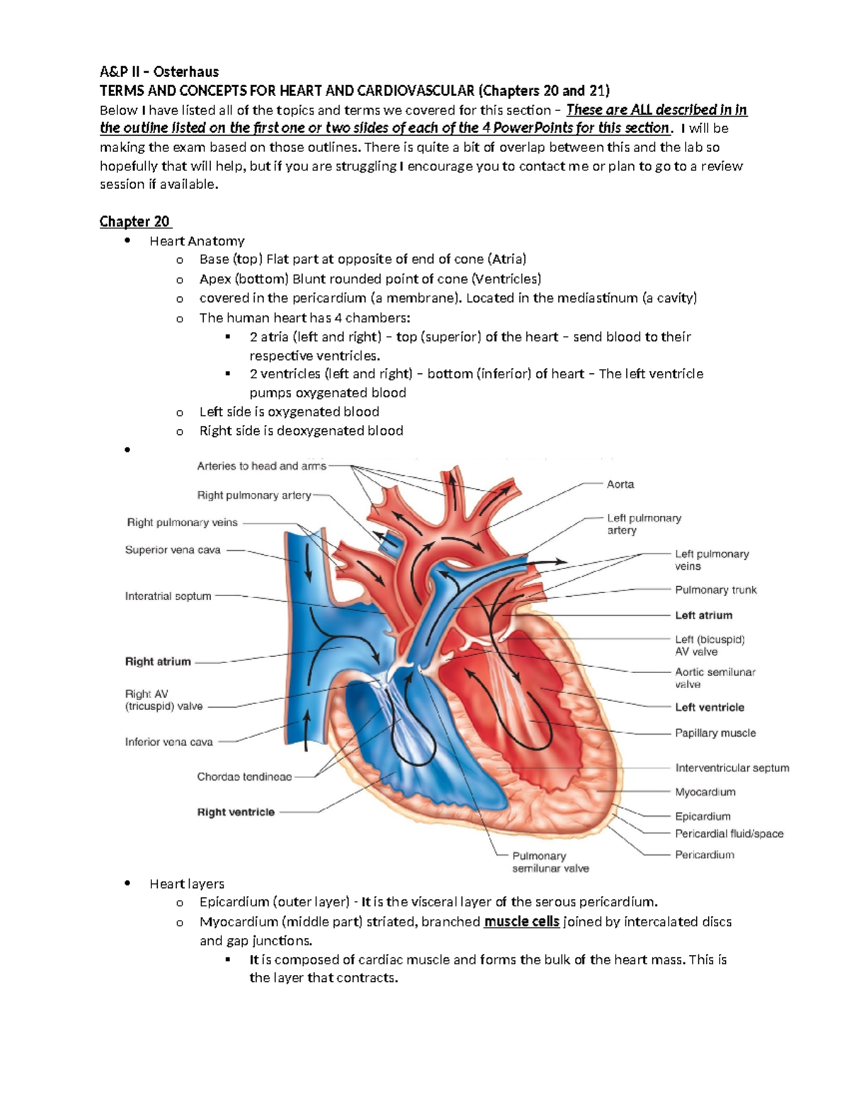 Review guide for Cardiovascular - Chapters 20 and 21 - A&P II ...