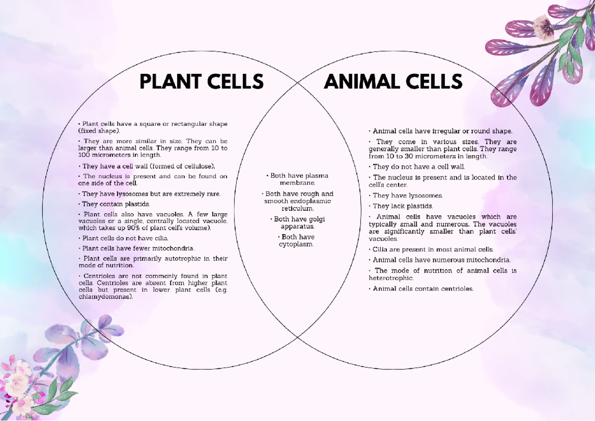 Plant cell and Animal cell - Venn Diagram - PLANT CELLS ANIMAL CELLS ...