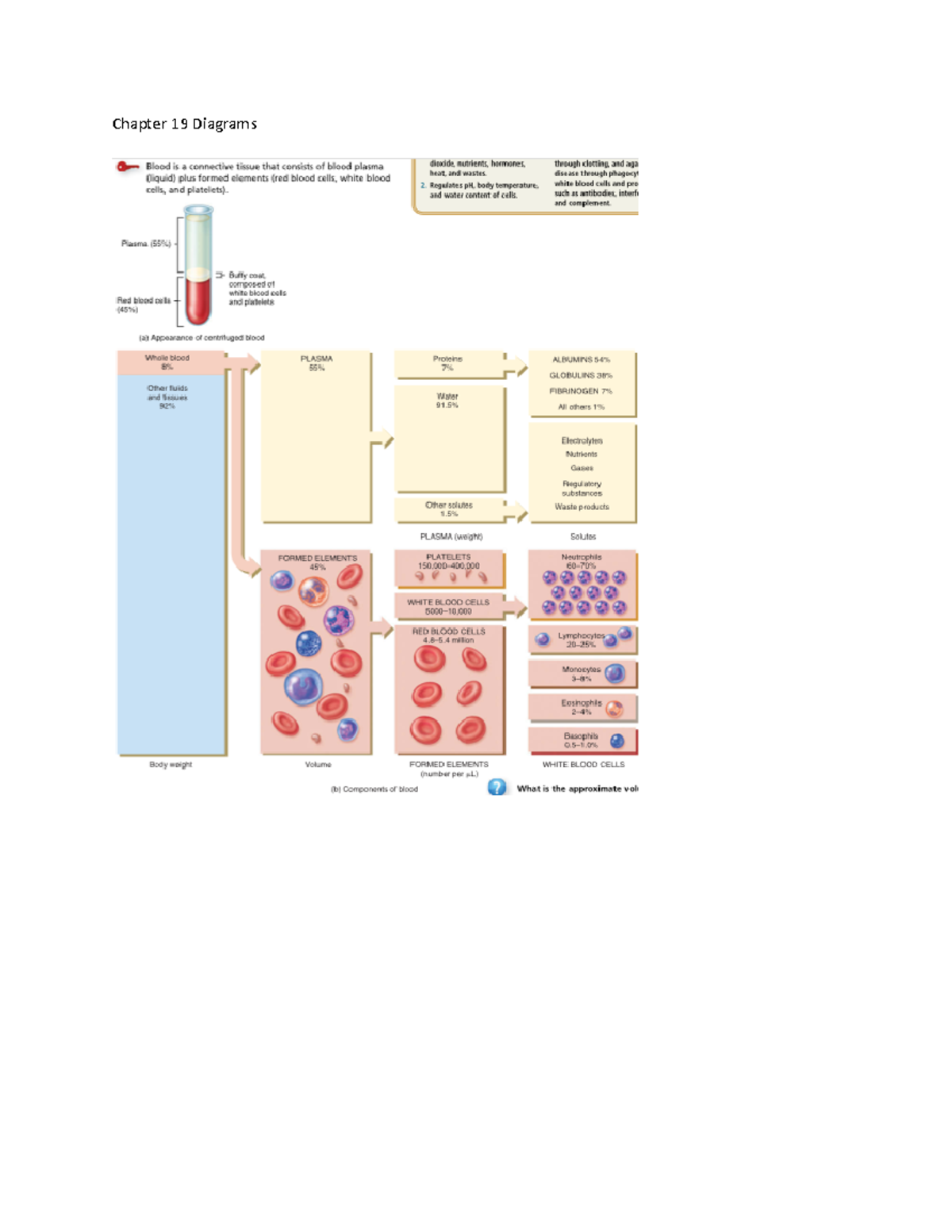 Chapter 19-29 Diagrams - bio 235 - Chapter 19 Diagrams Chapter 20 ...