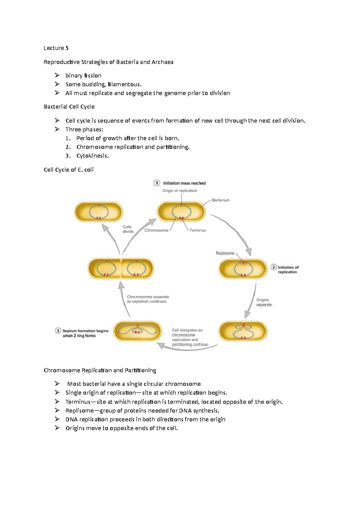 Lecture 5 - Lecture 5 Reproductive Strategies of Bacteria and Archaea ...