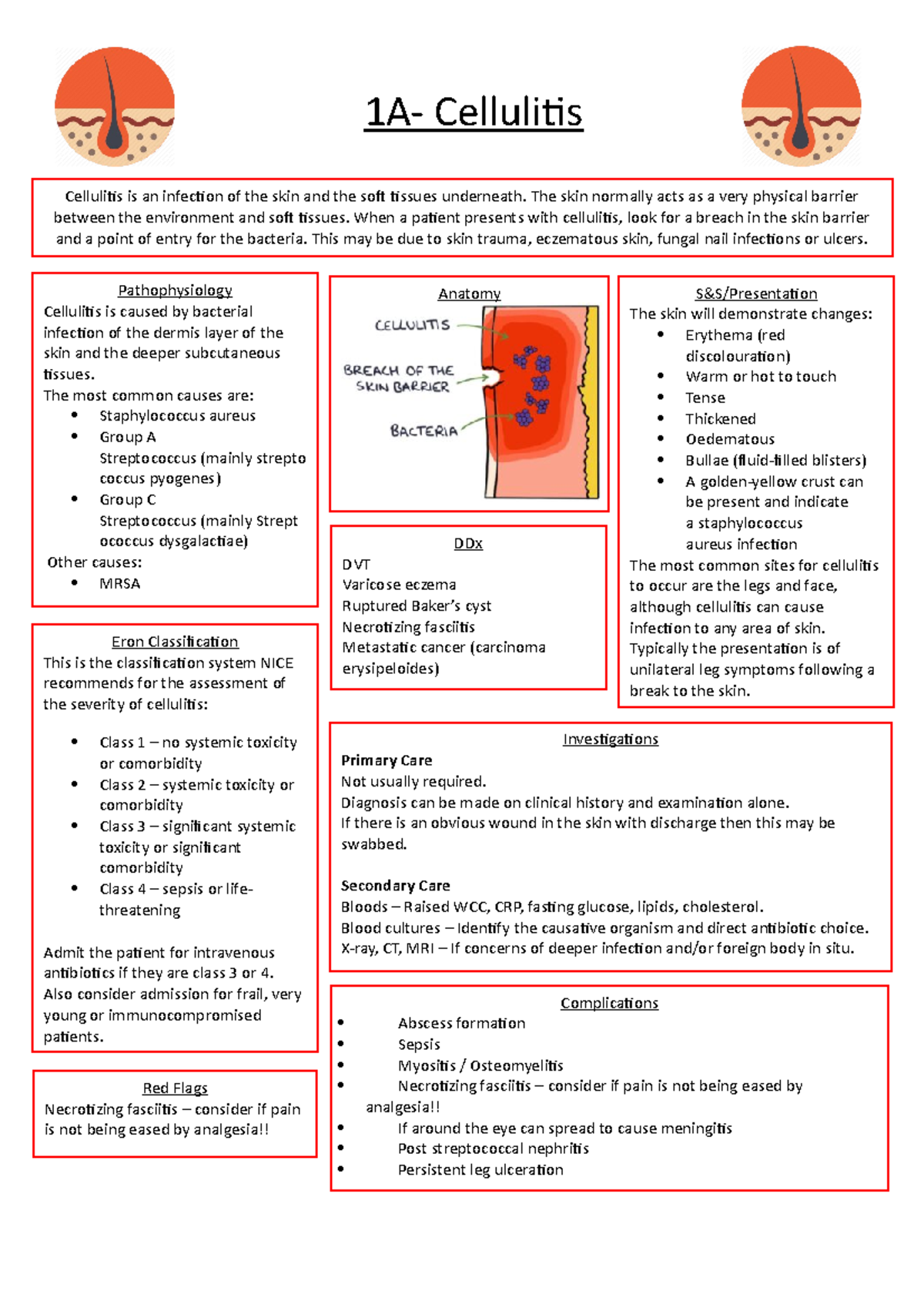 Cellulitis Overview- treatment, investigations, ddx, risk factors ...