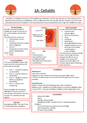 NEWS2 Chart - blank - National Early Warning Score 2 (NEWS2) © Royal ...