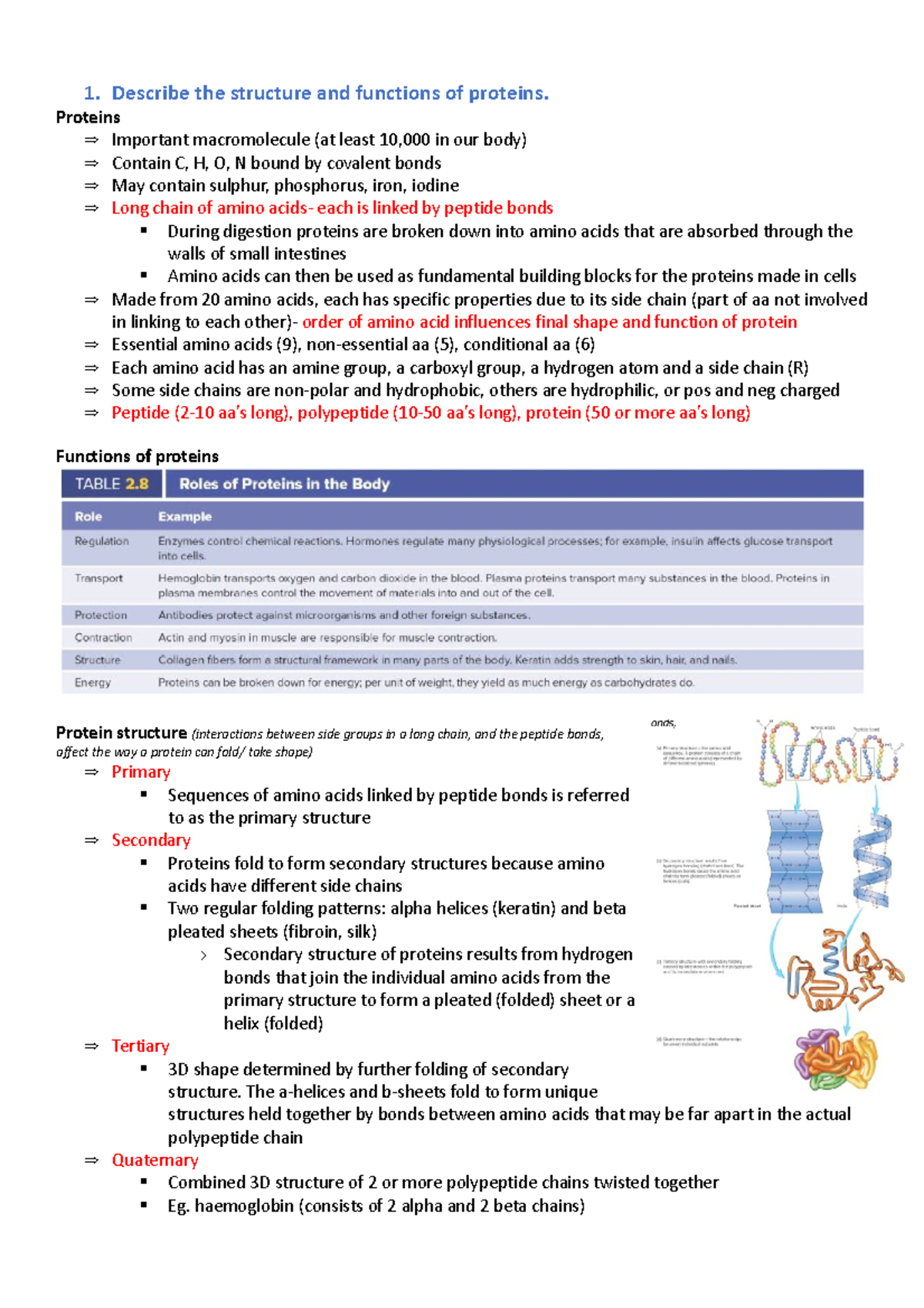 LO notes cell division and protein synthesis - HUMB1000 - Curtin - Studocu