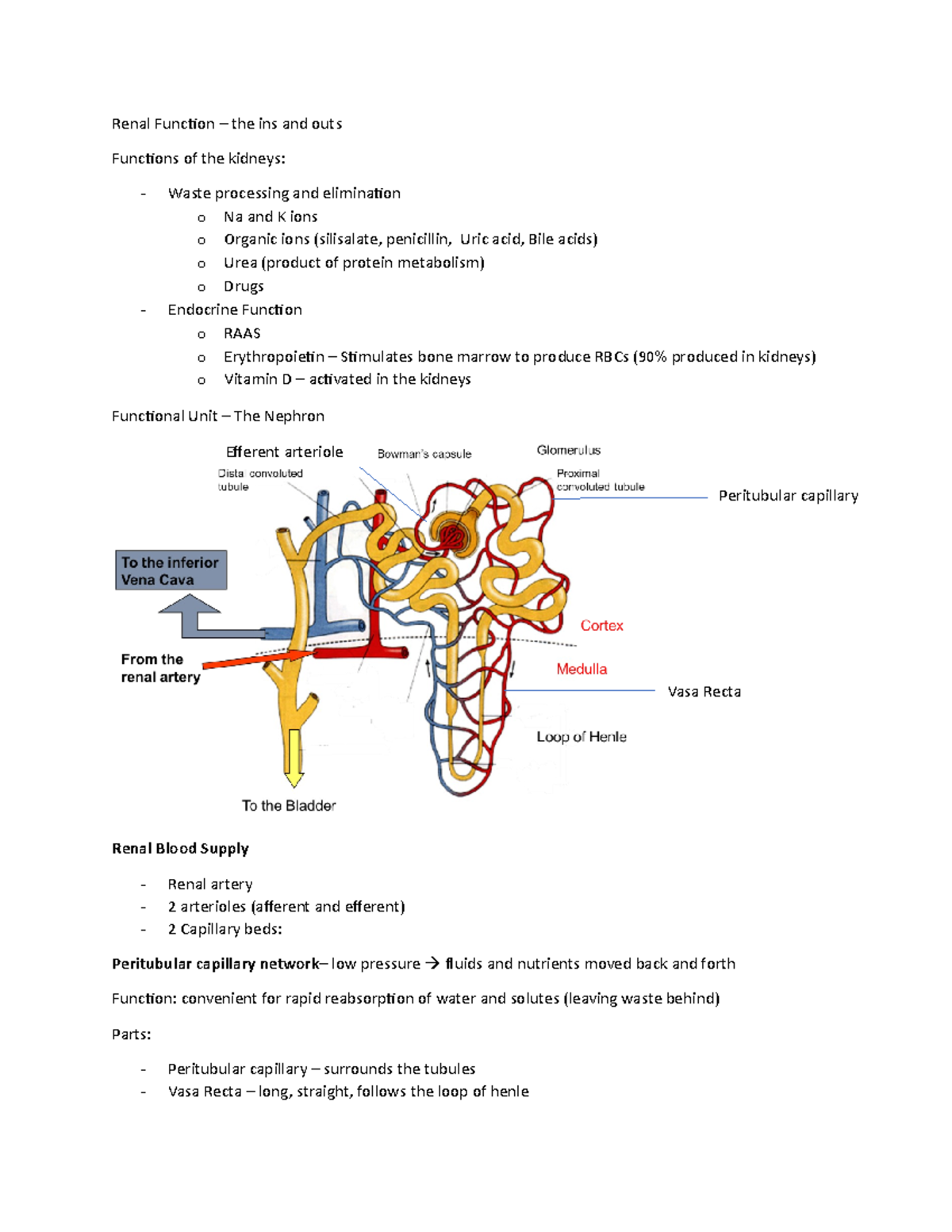 Renal Function test study guide - Renal Function – the ins and outs ...