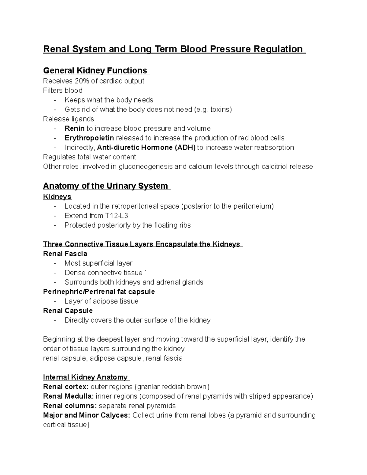 Anatomy 2 Exam 3 Lecture Notes - Renal System and Long Term Blood ...