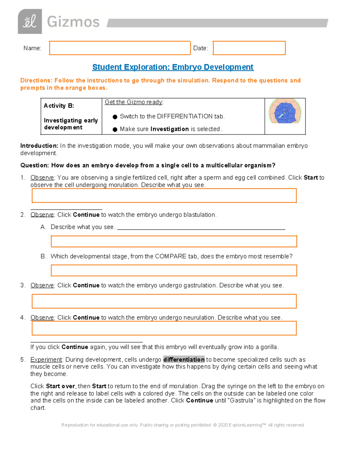 Embryo Development Activity B - Name: Date: Student Exploration: Embryo ...