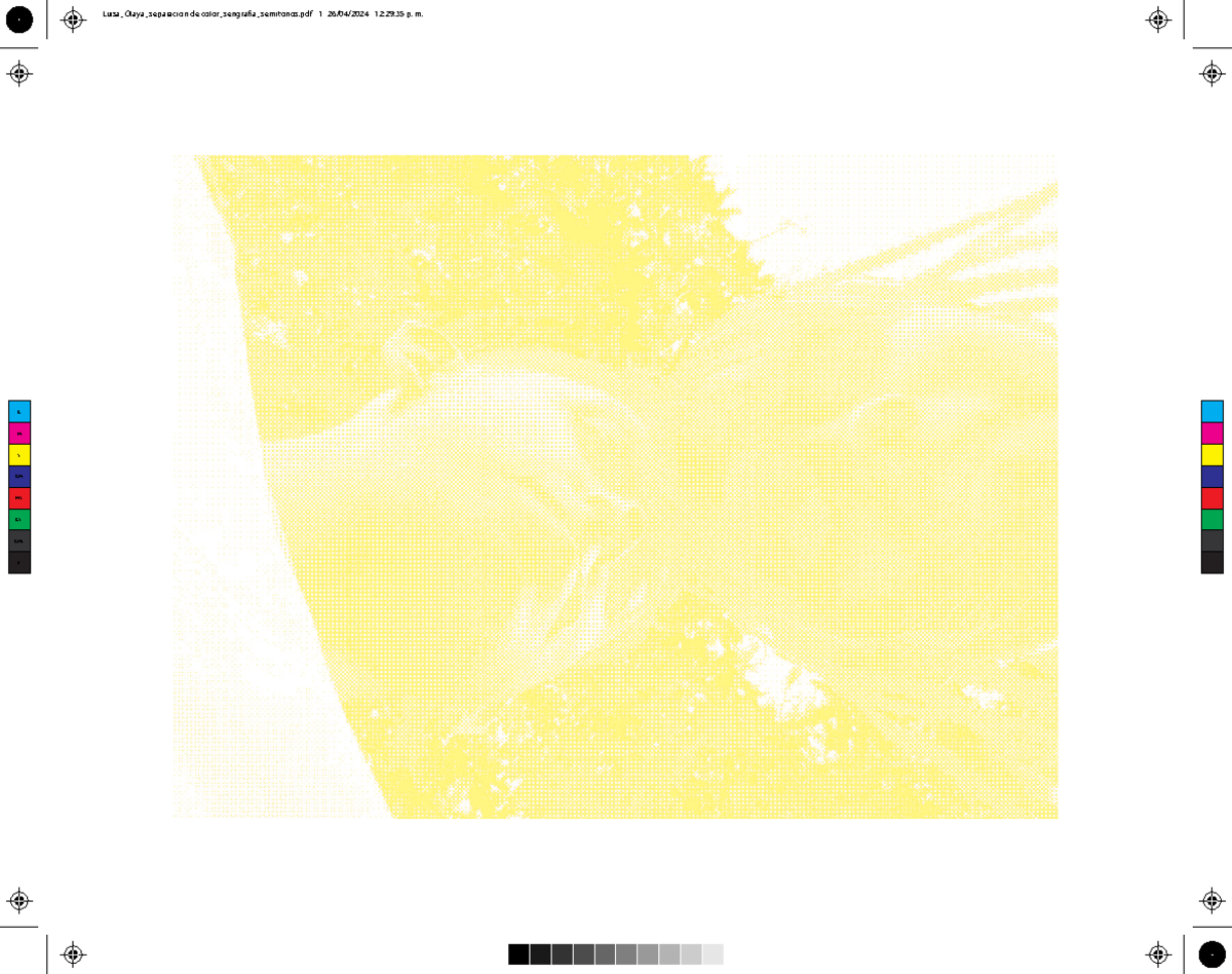 Luisa Olaya separacion de color serigrafia semitonos - Marketing ...