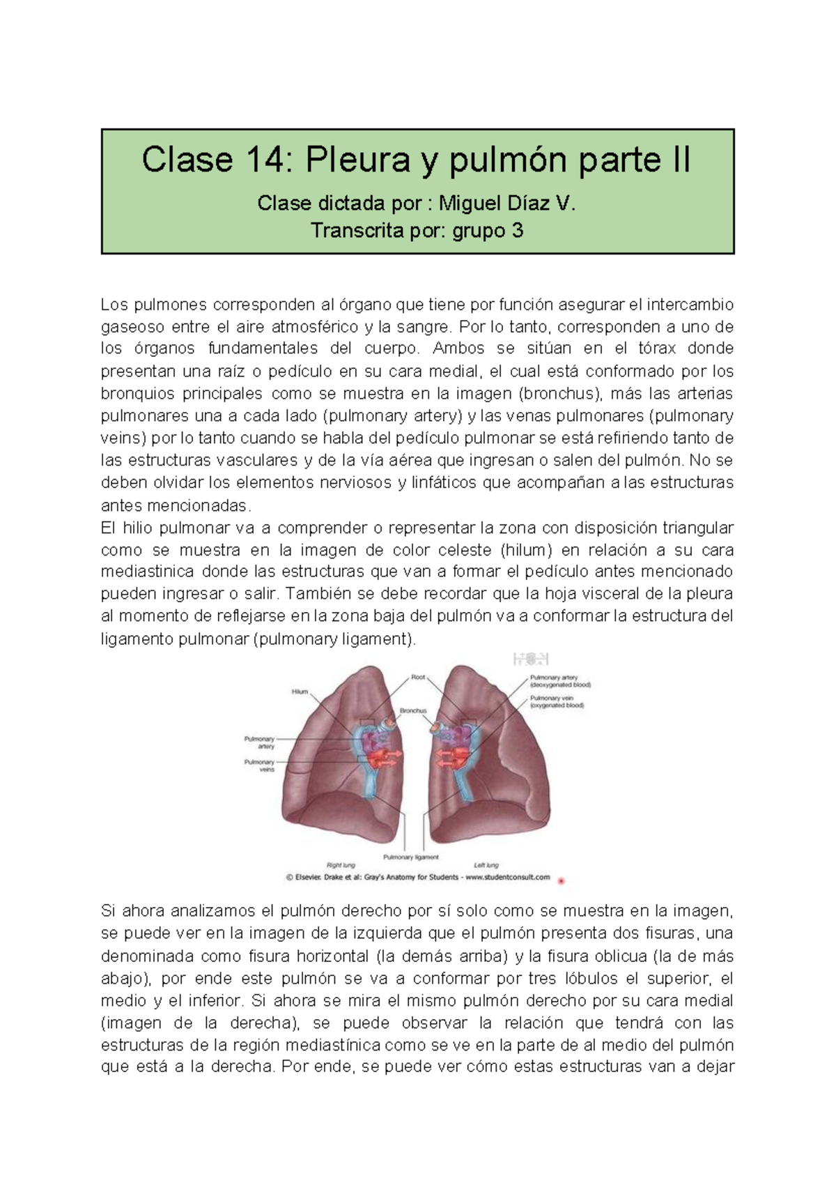 Clase 14.2 Pleura y pulmón (tráquea) - Los pulmones corresponden al ...