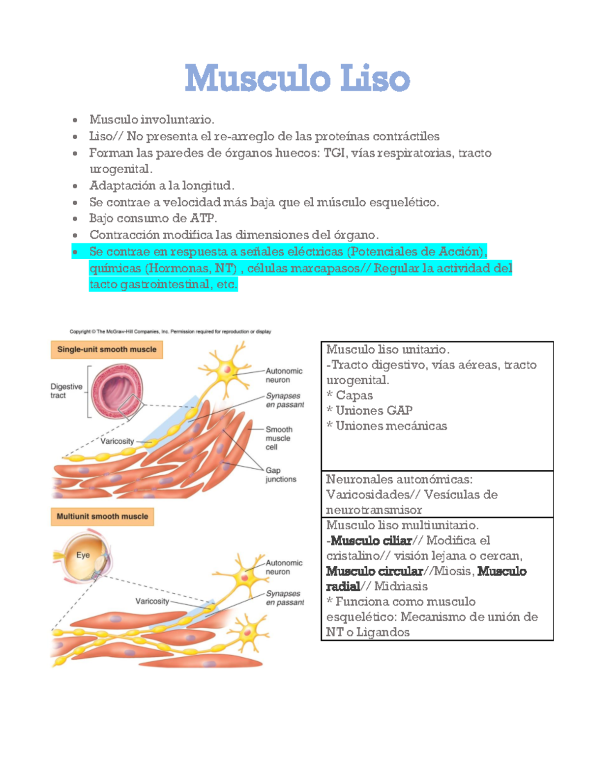 Resumen Musculo liso - Warning: TT: undefined function: 32 Musculo Liso Musculo involuntario ...