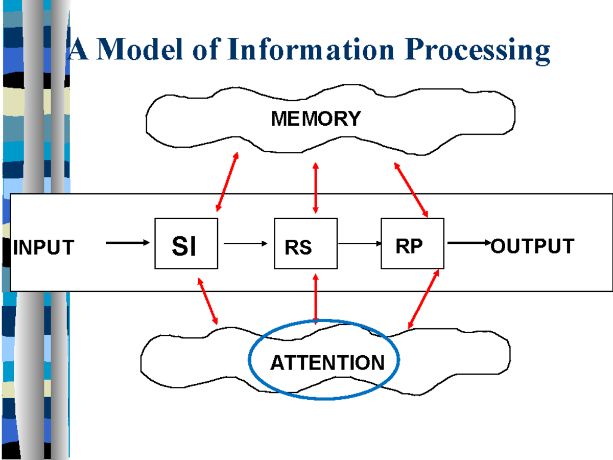 Lecture Notes, Lecture Attention - A Model of Information Processing ...