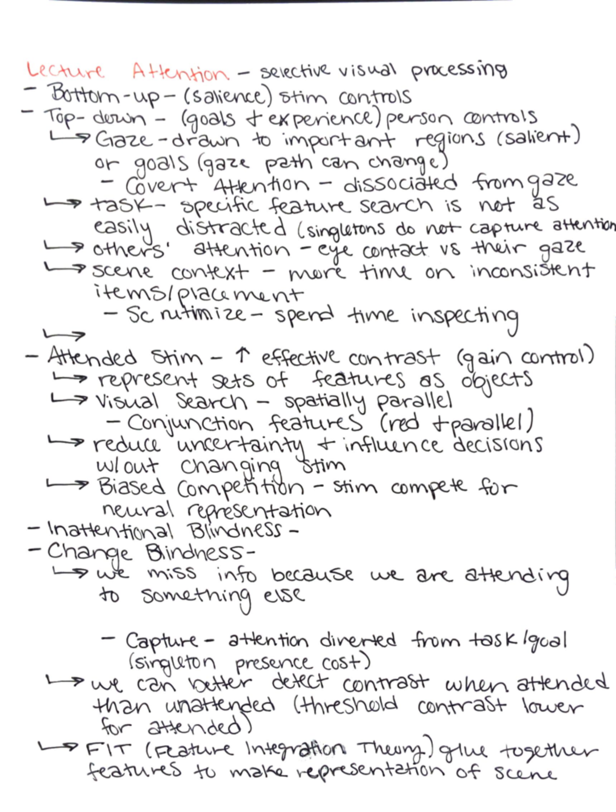 Week 6 Lecture And Assigned Reading Notes Lecture Attention Selective Visual Processing