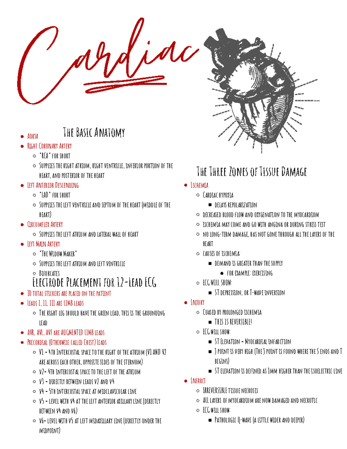 Cardiac-3 notes key points - NUR201 - Fortis - Studocu