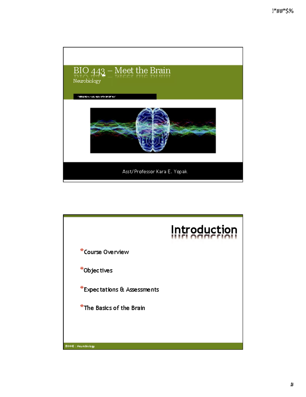 Lecture 1 - Brain Terminology Annotated - BIO 443 – Meet the Brain ...