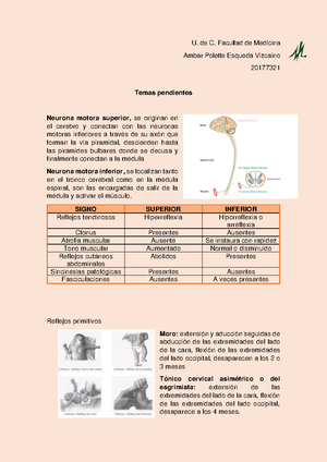 Insuficiencia Cardíaca Aguda Mario Preciado - INSUFICIENCIA CARDÍACA ...
