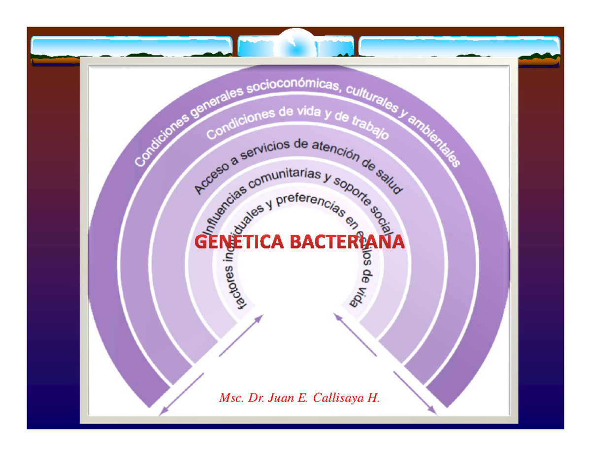 Genetica Bacteriana - Msc. Dr. Juan E. Callisaya H. El núcleo o ...