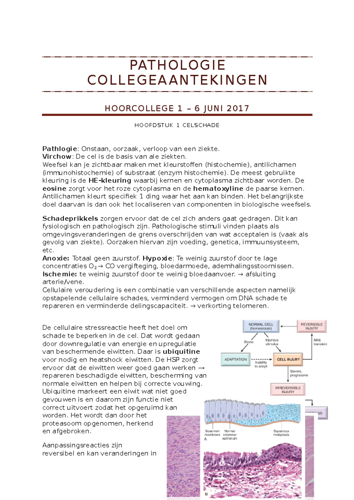 Pathologie College aantekingen - PATHOLOGIE COLLEGEAANTEKINGEN ...