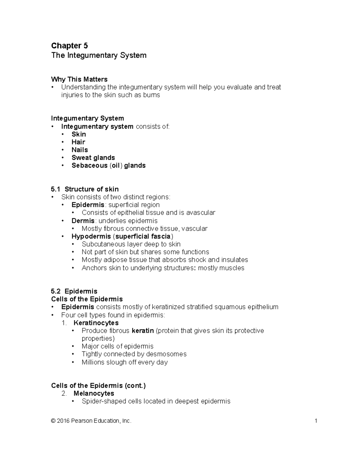 Ch 05 lecture presentation - Chapter 5 The Integumentary System Why ...