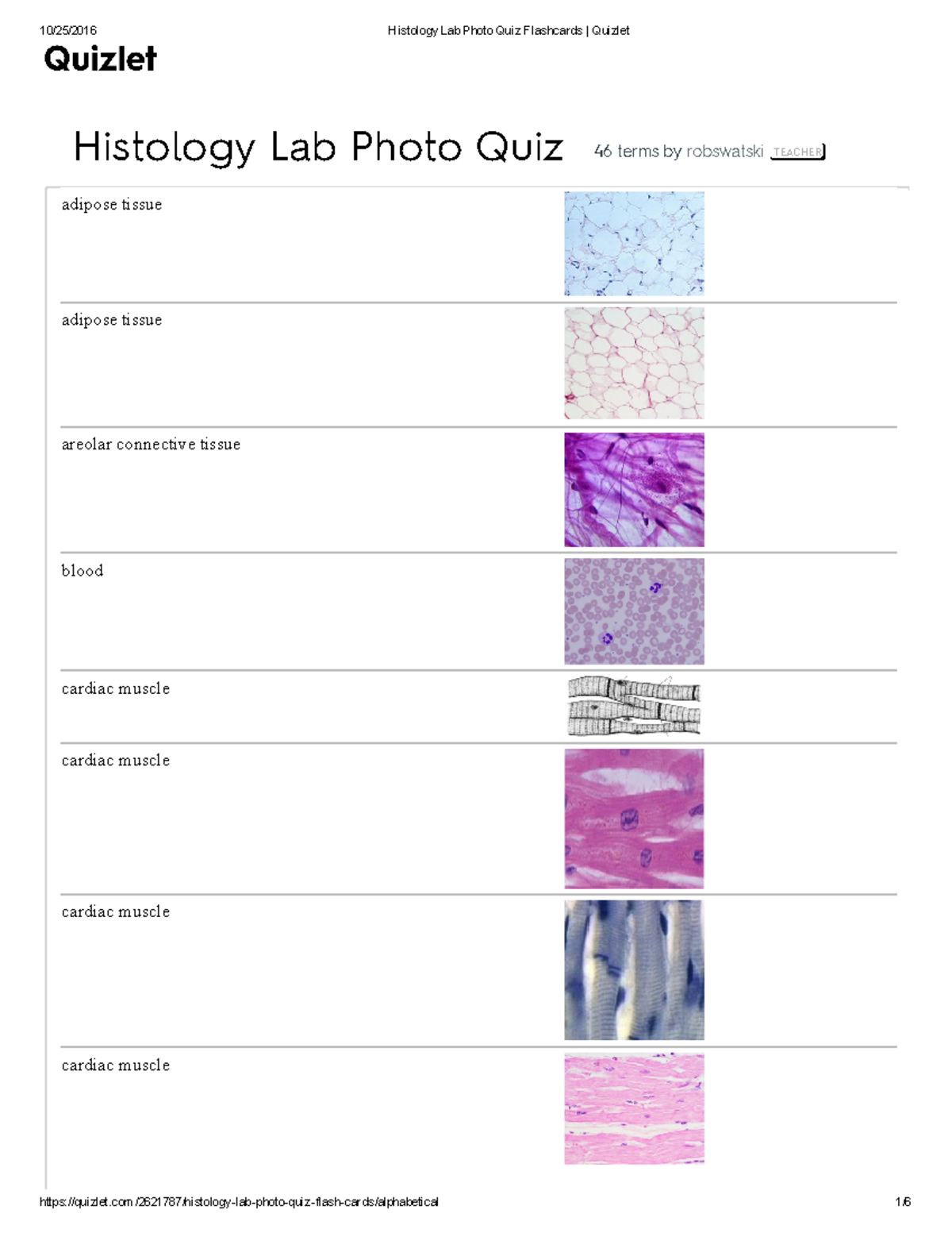 Histology - Quizlet - adipose tissue Histology Lab Photo Quiz 46 terms ...