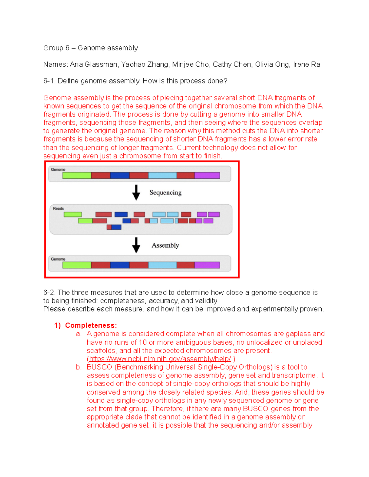 Class 2 Group 6 activity v2 - Group 6 – Genome assembly Names: Ana ...