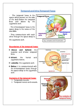 Anatomy SQA [RES] - Anatomy SAQ 308 Thoracic cavity: 1- Enumerate the ...