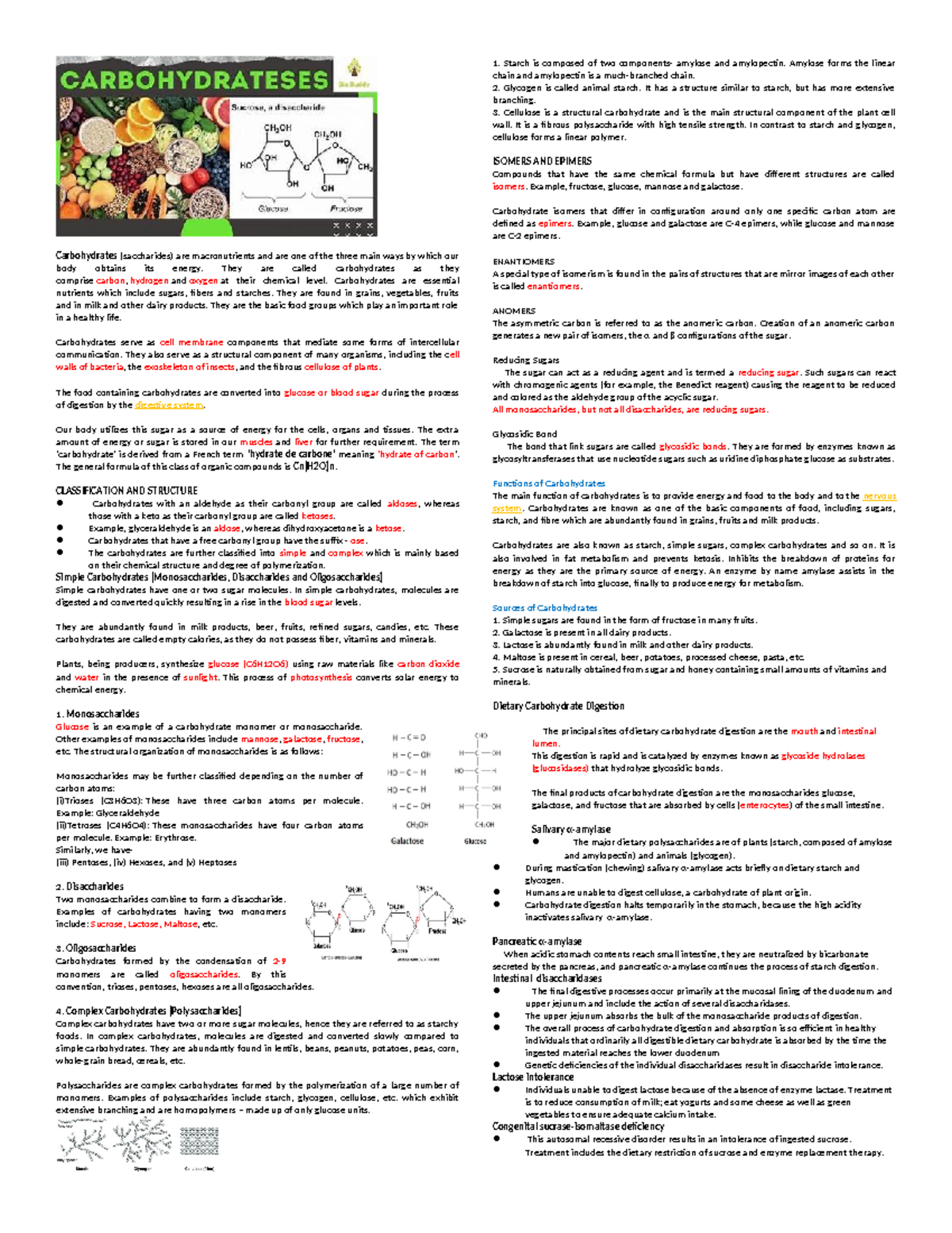 Chapter 7 - biochem - thanks - Carbohydrates (saccharides) are ...