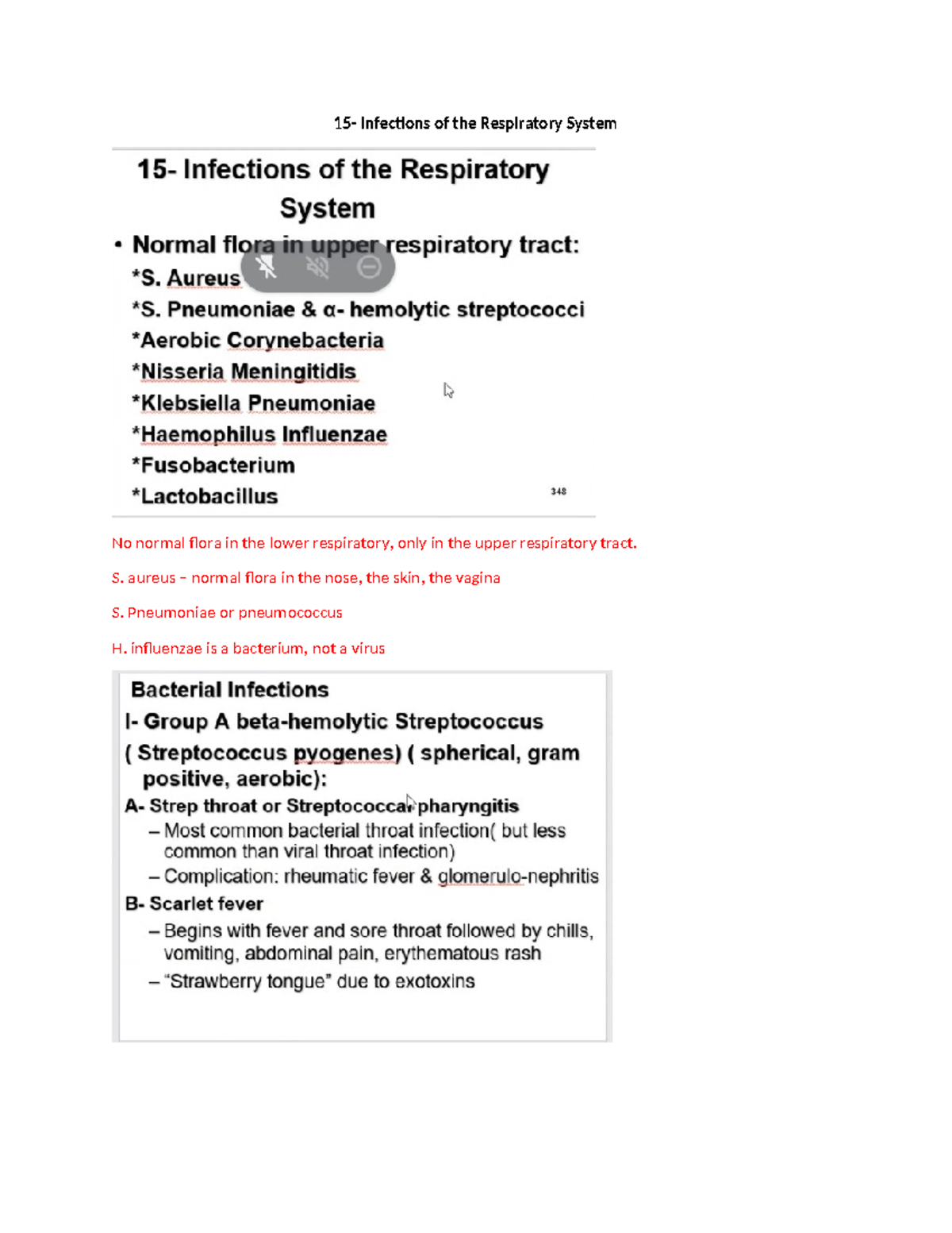 15- Infections of the Respiratory System - 2002 - S. aureus – normal ...