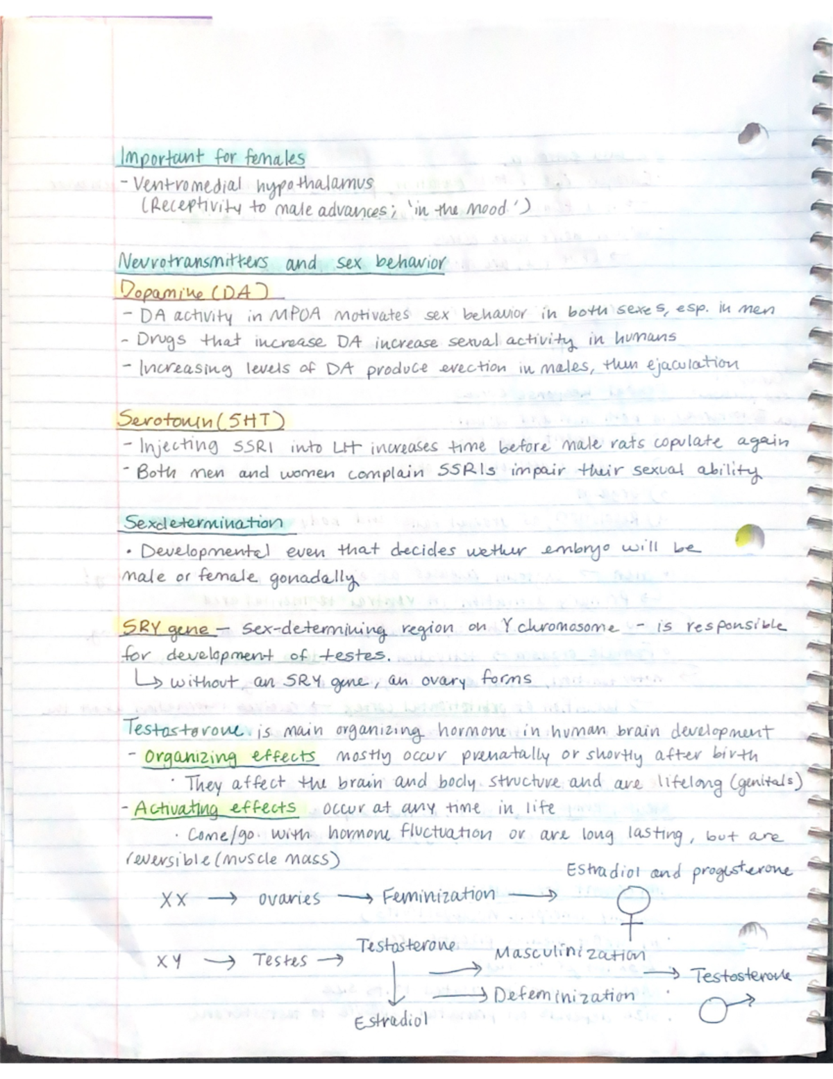 introduction to neuroscience - hunger and thirst chapter - porłunt ...