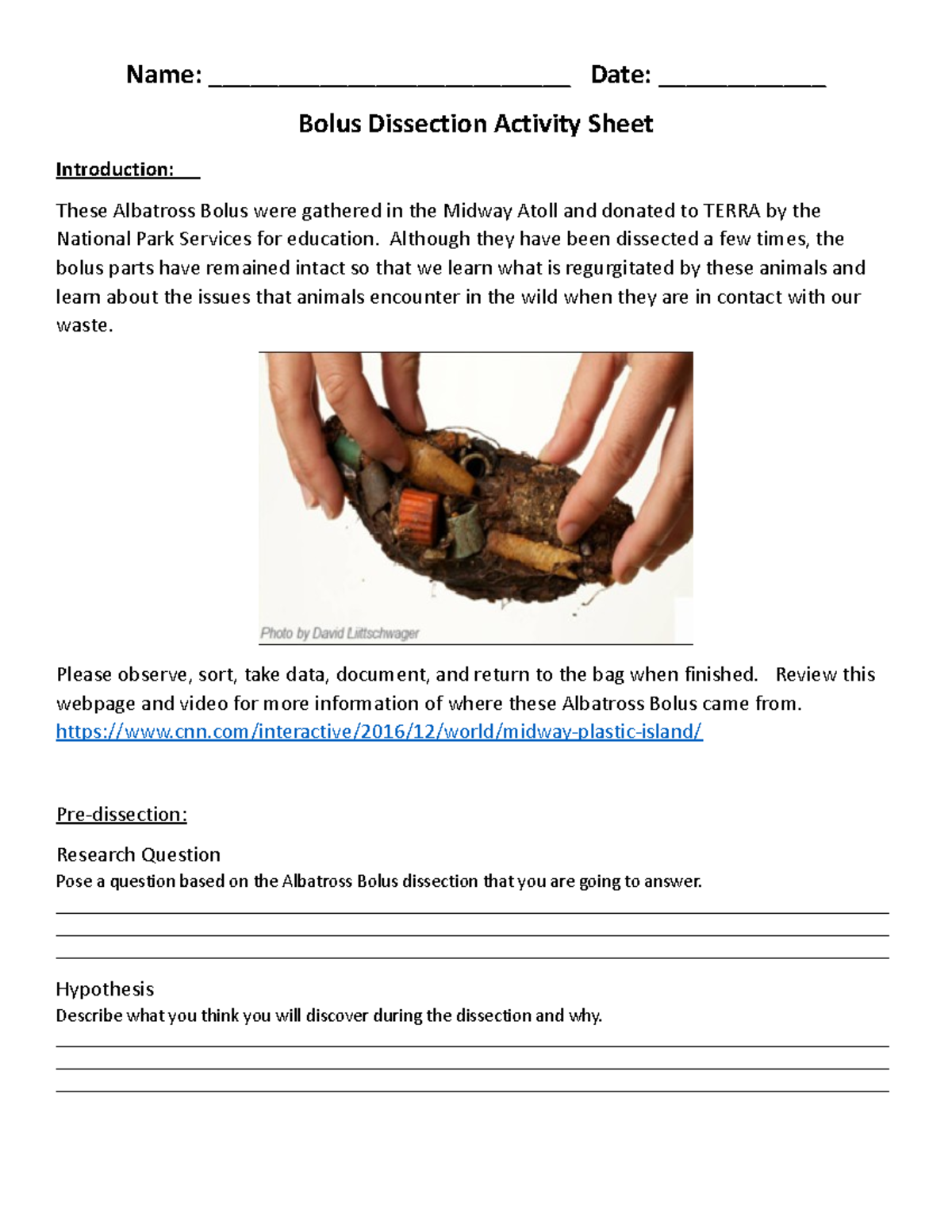 Albatross Bolus Dissection Activity Sheet - Lab - Name ...