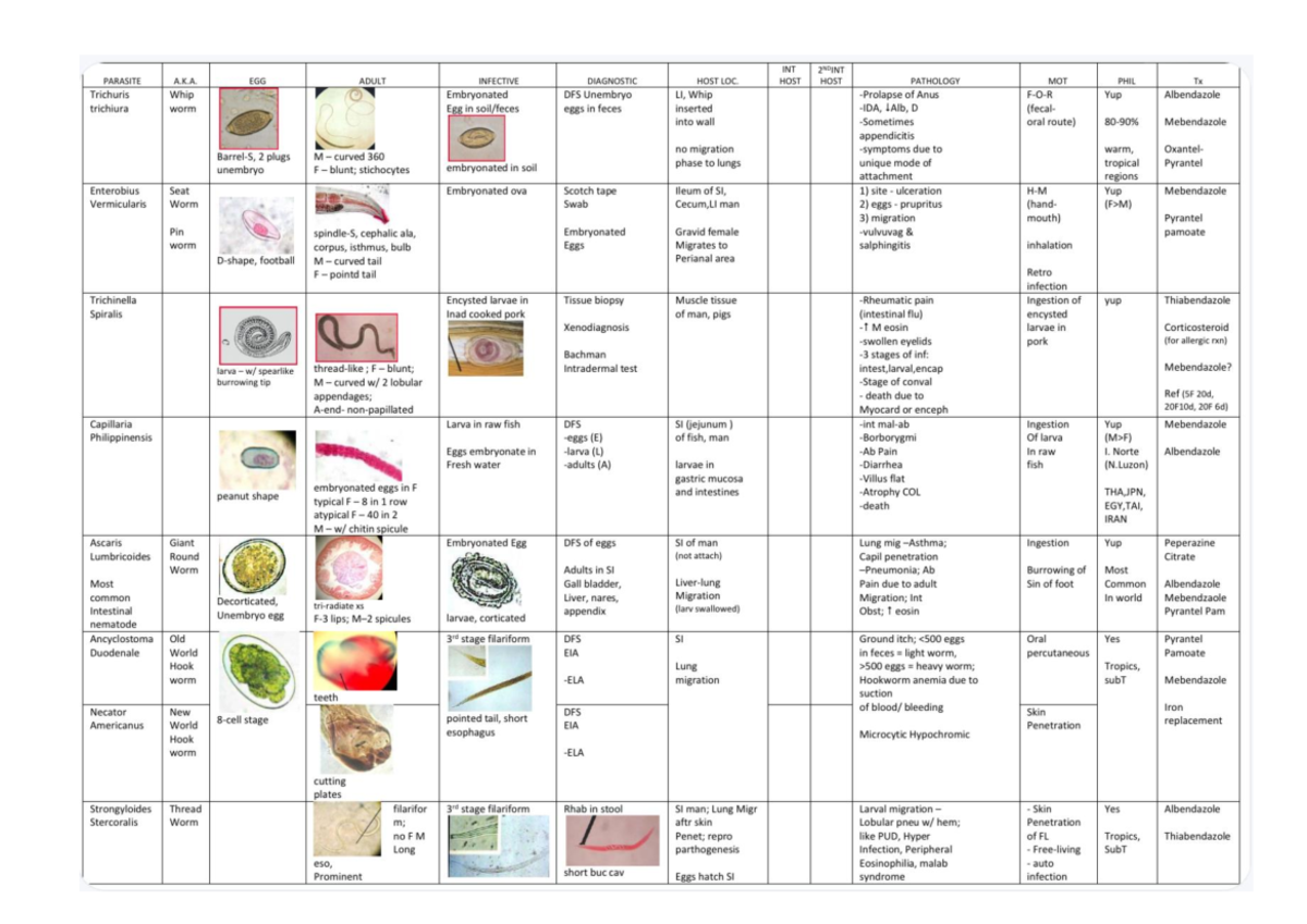 Parasites table summary 1 - Biology - Studocu