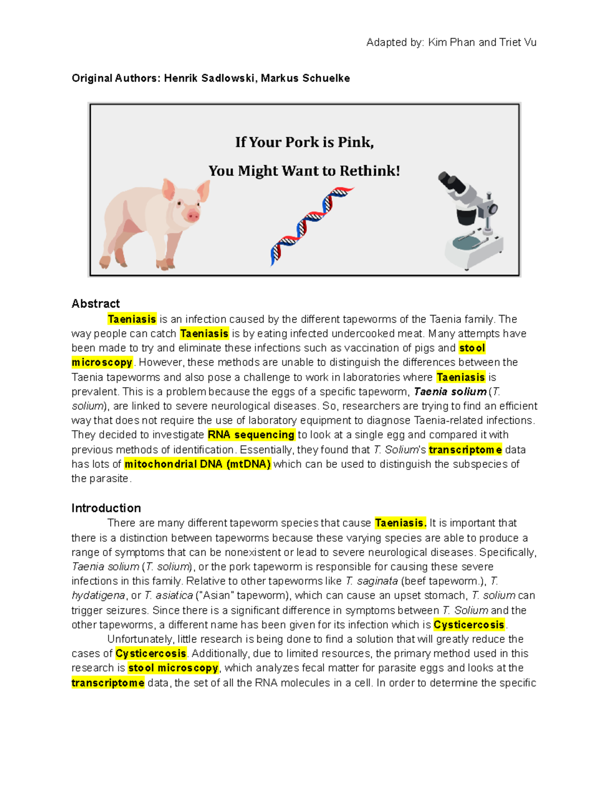 Final Draft - random essay - Original Authors: Henrik Sadlowski, Markus ...