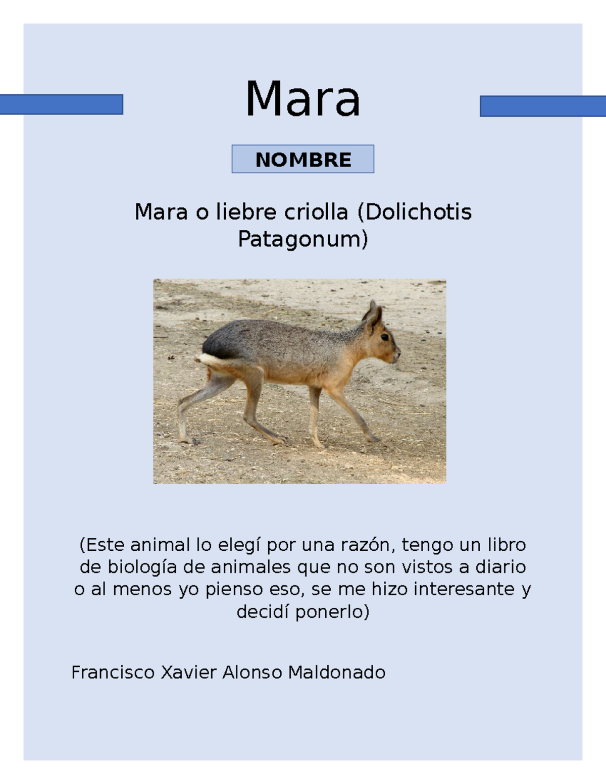 Evidencia 1 - Espero y te sirva :) - Mara Mara o liebre criolla ...