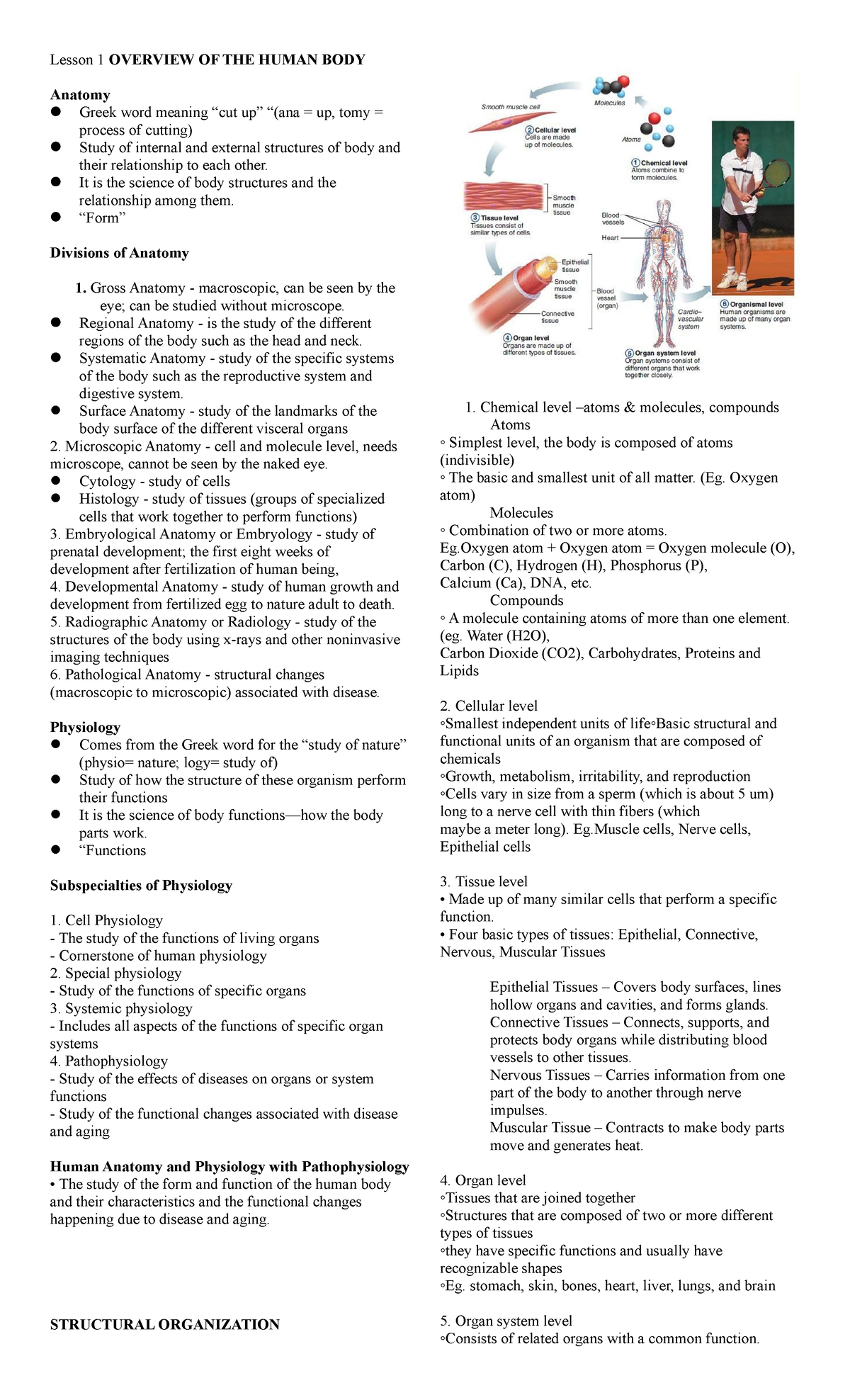 HAPP-Lesson-1 - This is an overview of the human body. - Lesson 1 ...