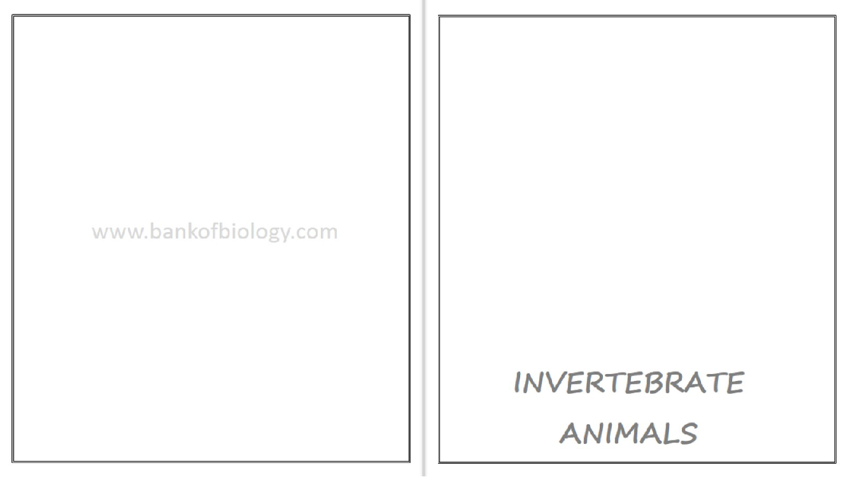 Invertebrate animals +2 - Zoology plus two - Studocu